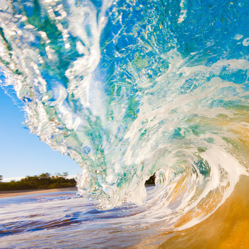 Download MP3 - pacific wave – wingwave Shop